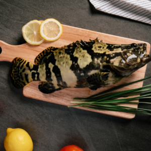 Atlas Aquaculture - Backyard Production